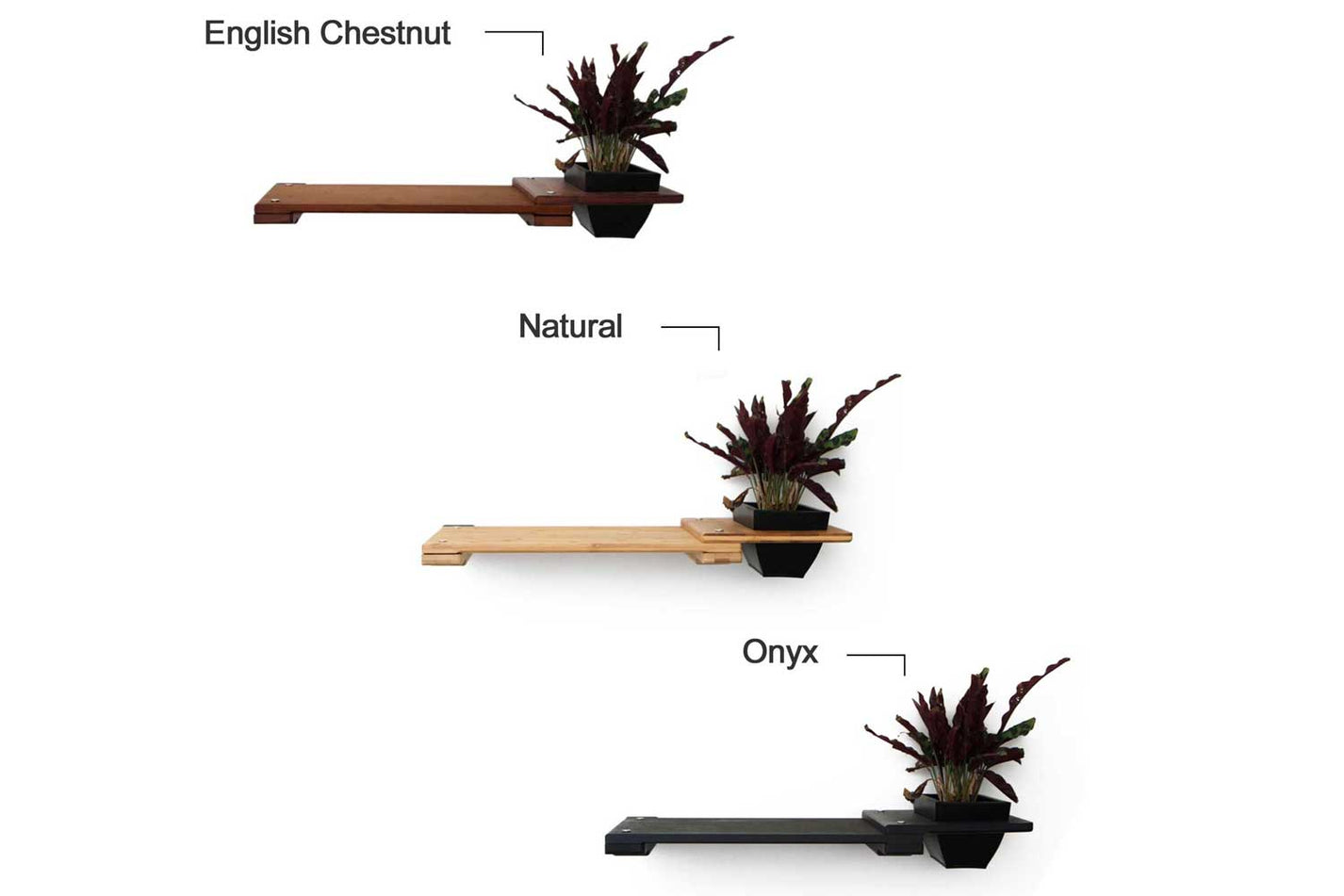 Cat Plant Stand for Wall – Loving Cats Worldwide®