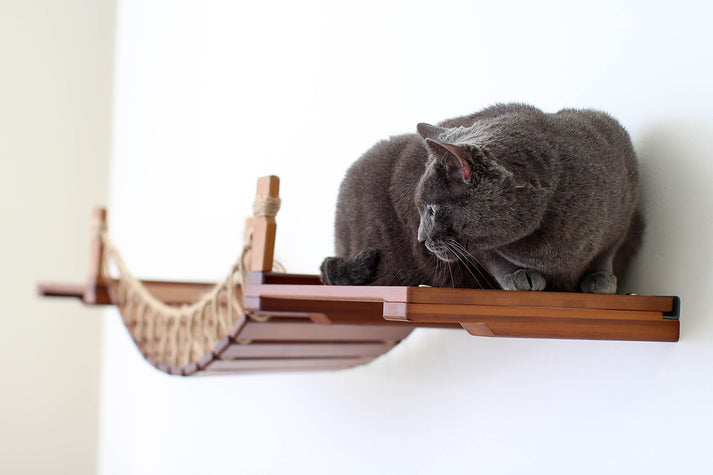 Cat Wall Bridge and Shelf Set – Loving Cats Worldwide®