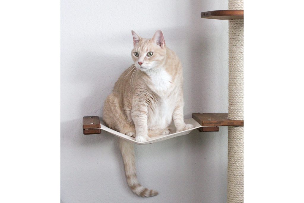 The Expedition - Cat Jungle Gym Wall System – Loving Cats Worldwide®
